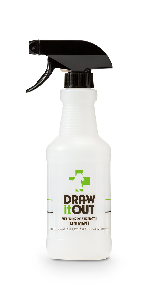 DiO 16oz sprayer bottle – 99 Halters